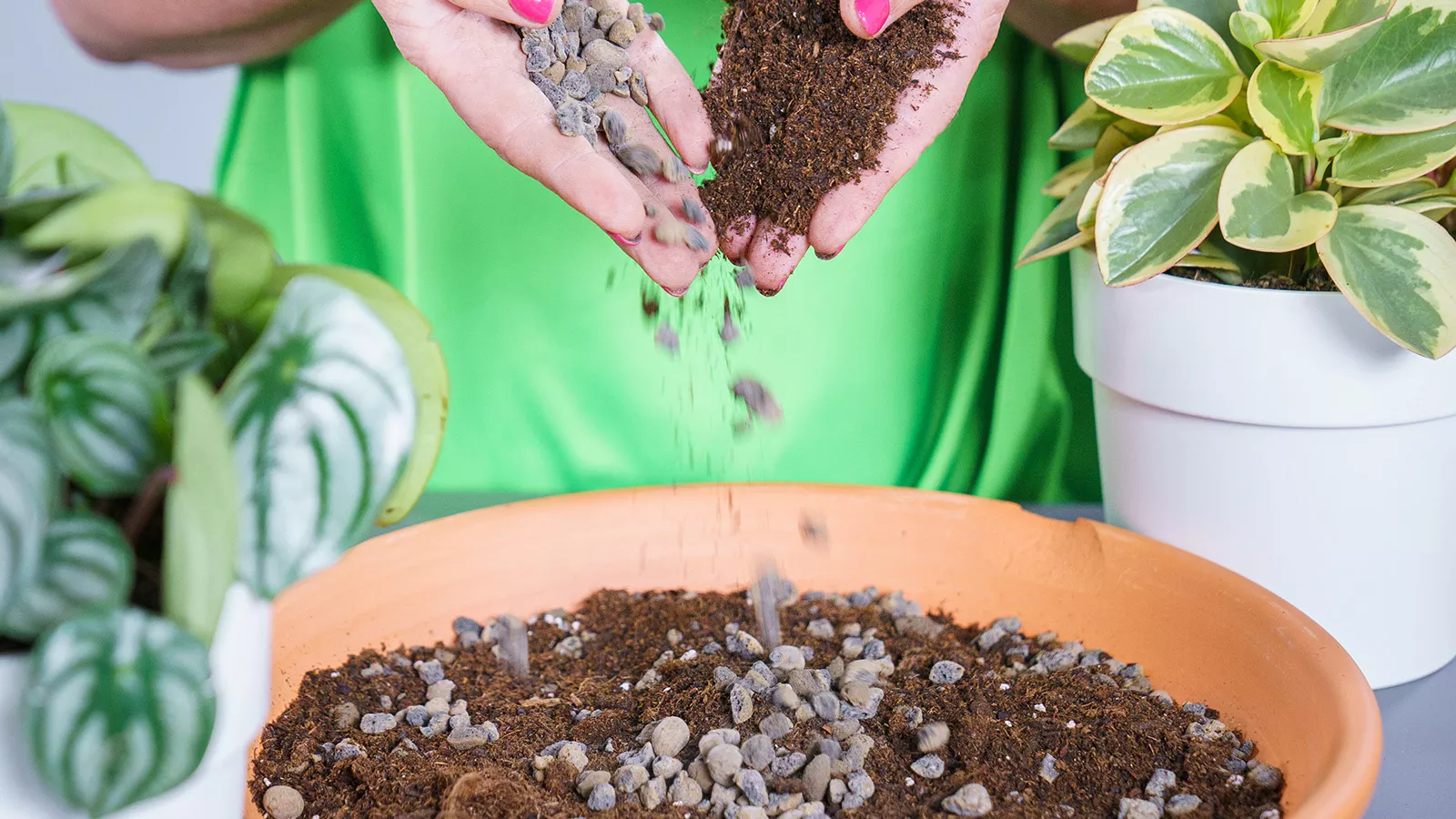 Jardim com argila expandida: benefícios e aplicações | Leca®